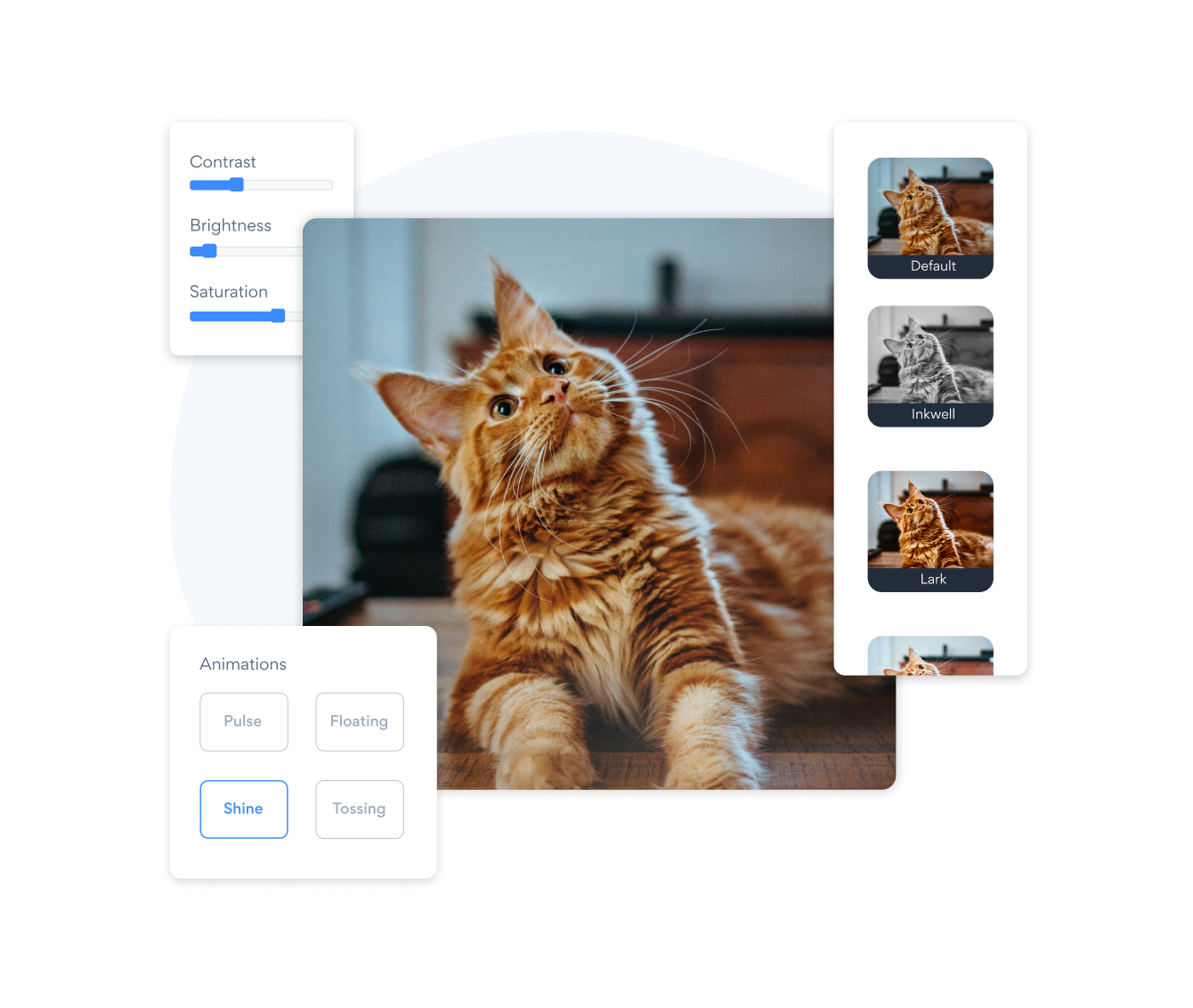 Free Photo Watermark App for Website: The Best Rated Photo Watermark ...